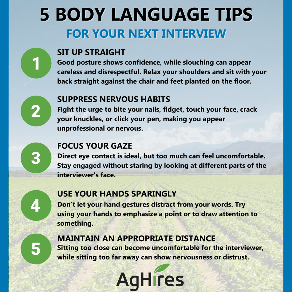 How Important Is Body Language in an Interview? 5 Body Language Tips ...