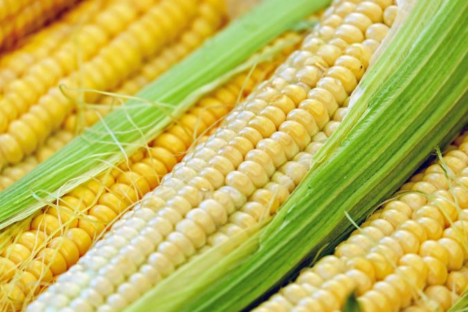 The average ear of corn has 800 kernels in 16 rows