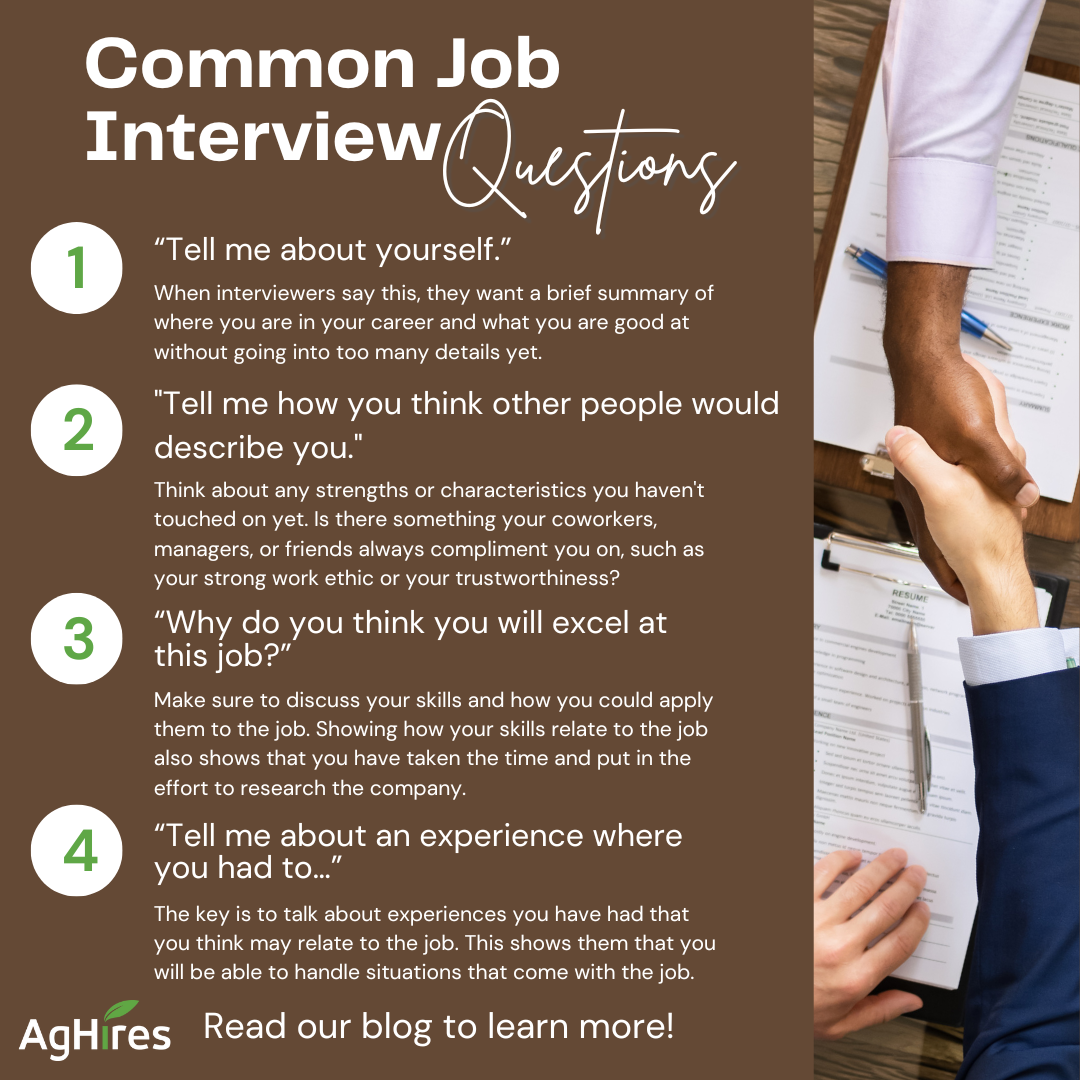 Common Job Interview Questions
