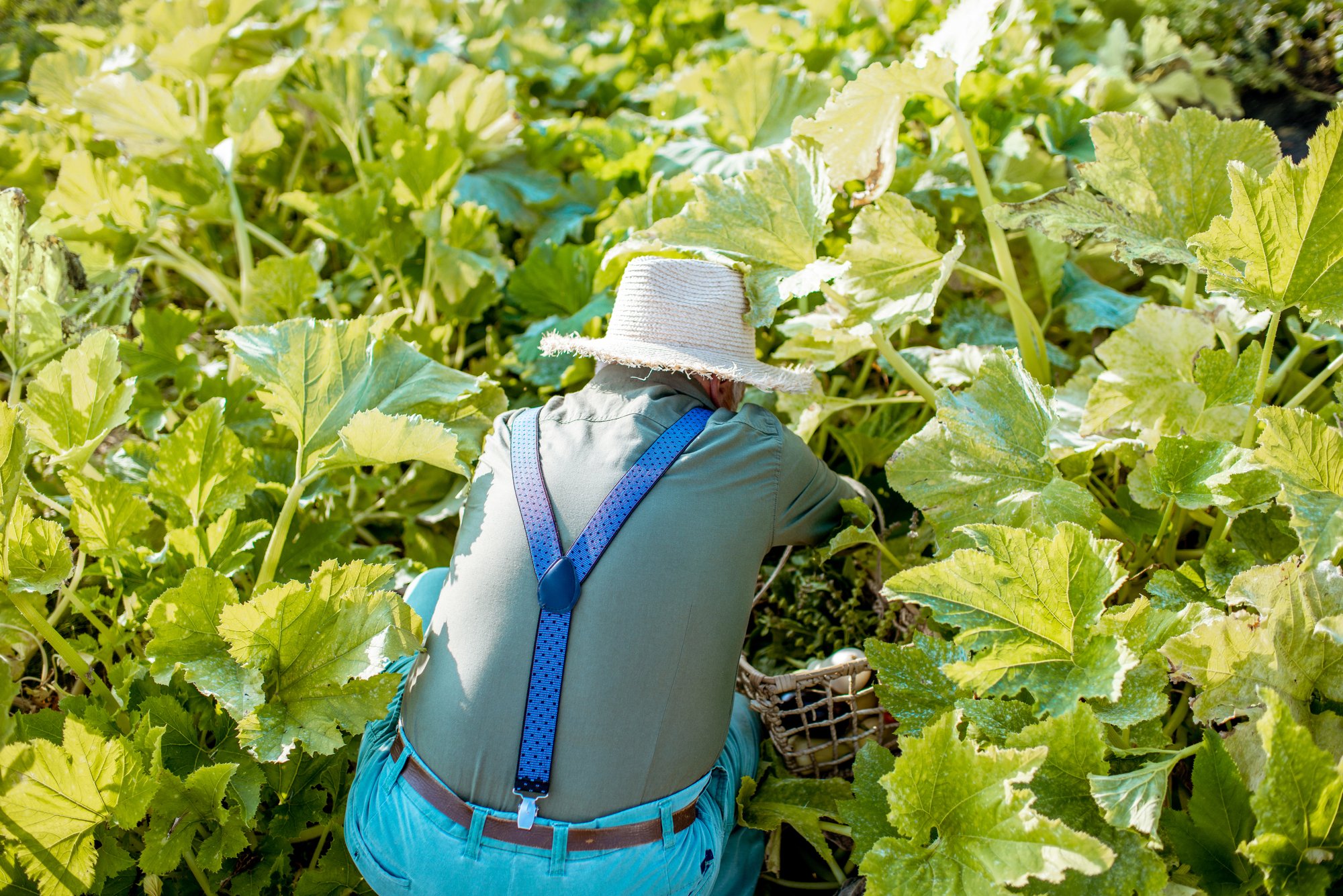 Labor Shortage in Agriculture: 2025 Challenges & Solutions