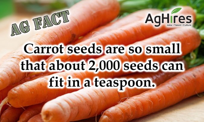 25 Carrot Facts