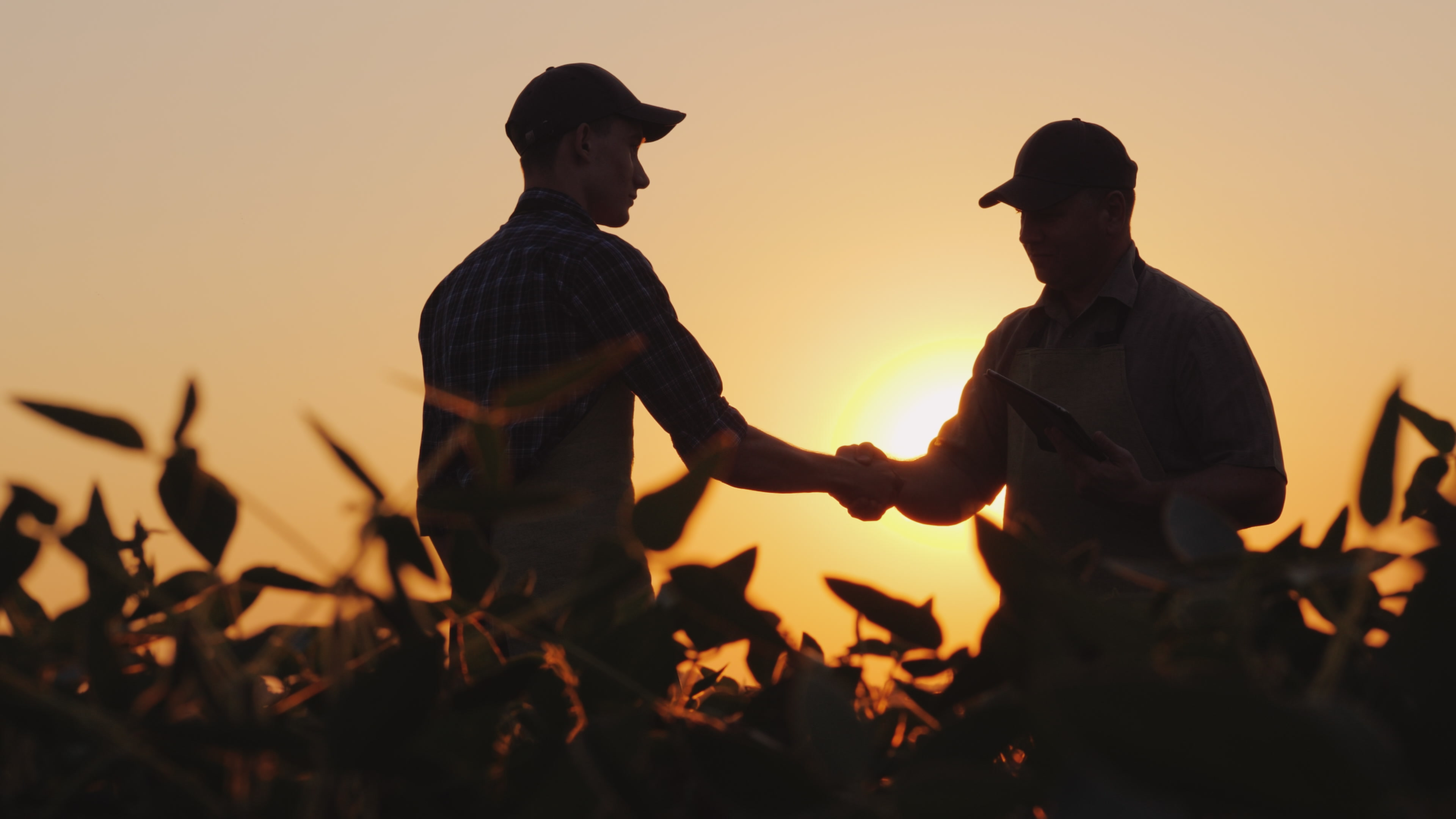 10 Basic Hiring Tips for Agriculture Recruiting